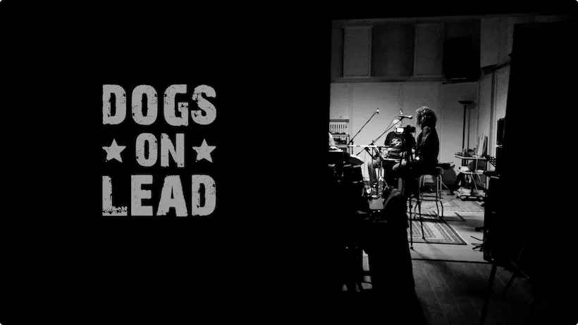 Event Dogs On Lead - 29/01/2022 - Hildesheim - Kulturfabrik Löseke ...